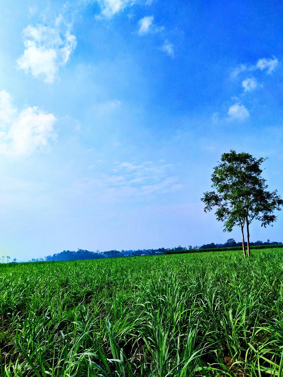 Nature Paysage Contexte - Photo gratuite sur Pixabay - Pixabay