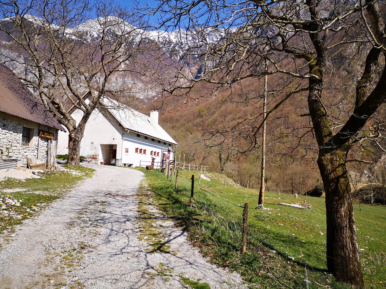 Alpine Pasture Soca Valley - Free photo on Pixabay - Pixabay