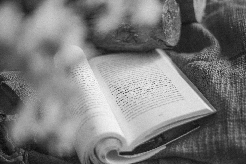 Book Literature Library - Free photo on Pixabay - Pixabay