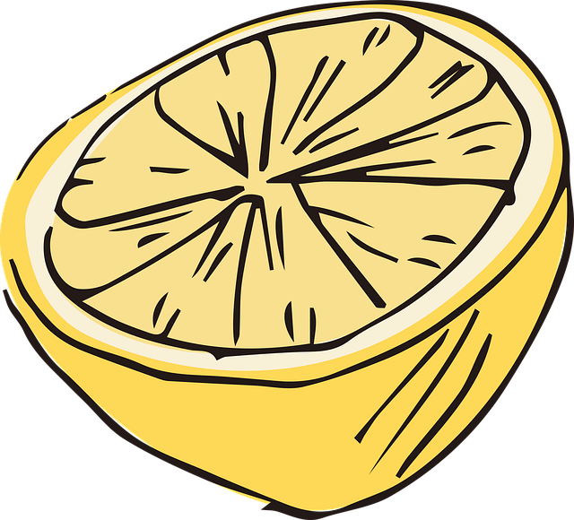 Over 200 Free Lemon Vectors - Pixabay