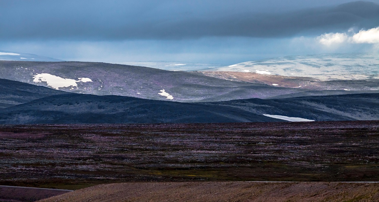 400+ Free Tundra & Nature Images - Pixabay