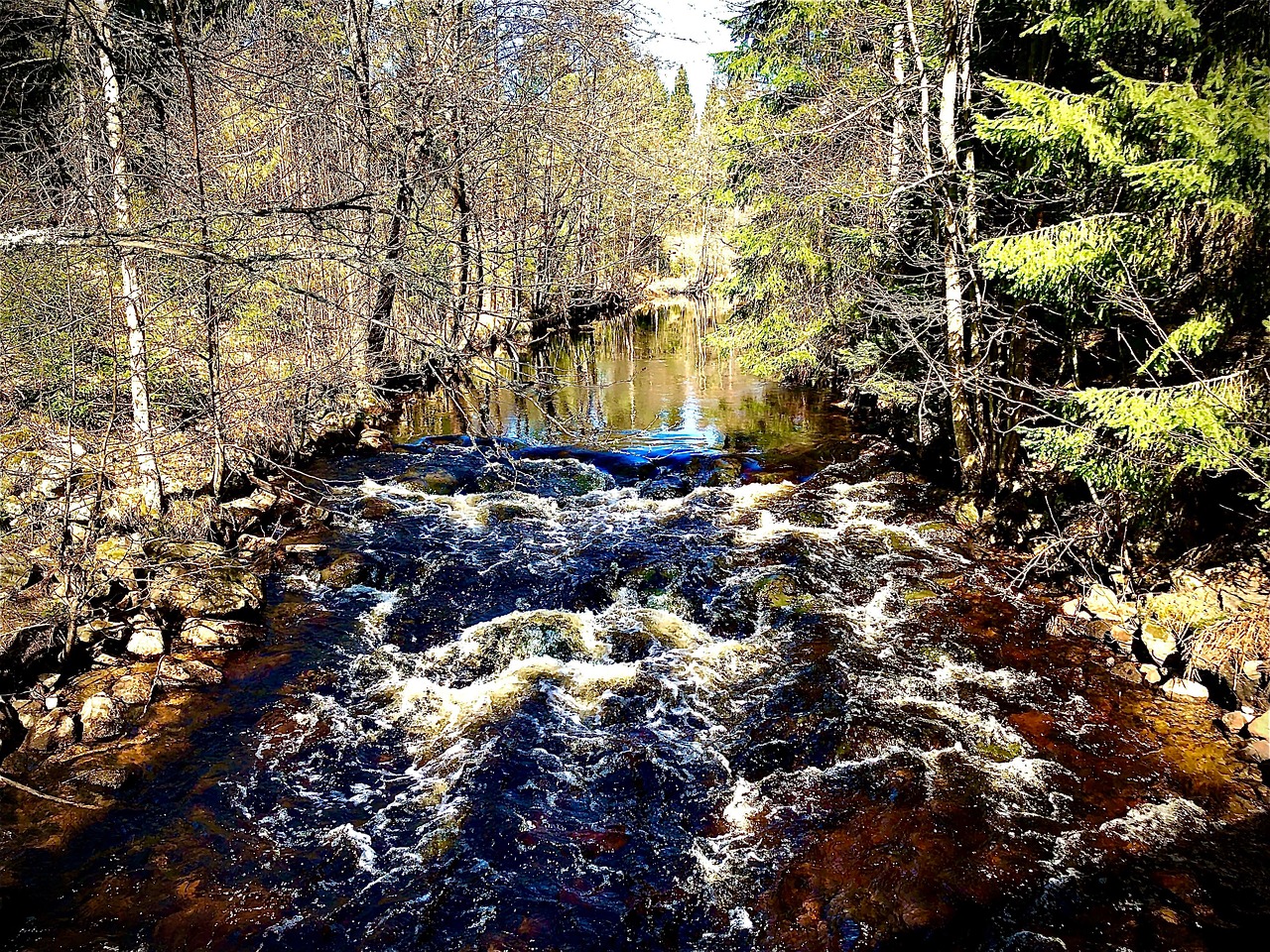 La Nature De Forêt Rivière Le - Photo gratuite sur Pixabay - Pixabay