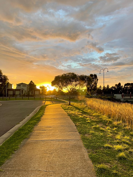 Sunrise Path Tree - Free photo on Pixabay