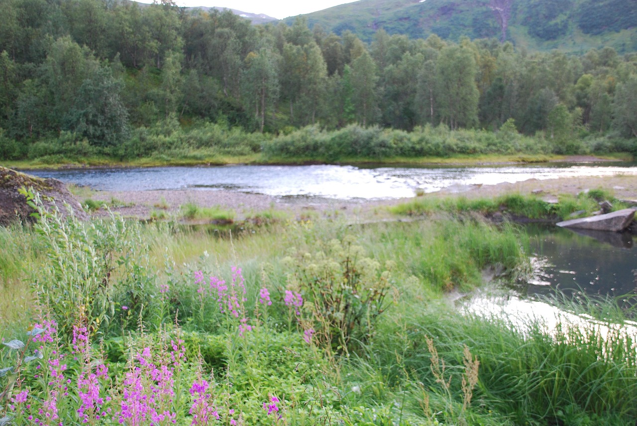 Northern Sweden Nordic - Free photo on Pixabay - Pixabay