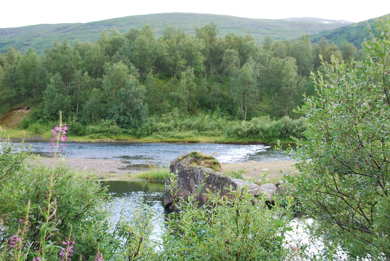 Northern Sweden Nordic - Free photo on Pixabay - Pixabay