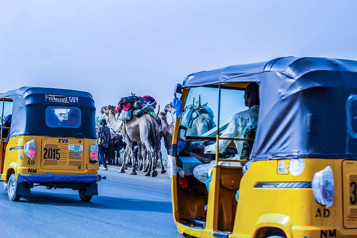 90 Free Nigeria And Africa Photos Pixabay