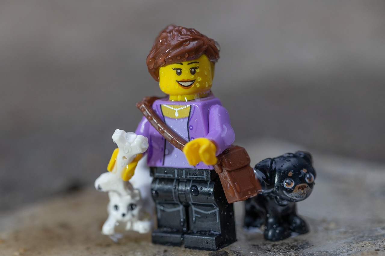 Lego Figurines Chien Le - Photo gratuite sur Pixabay - Pixabay
