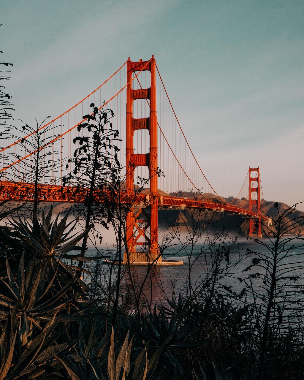 4,000+ Free San Francisco & California Images - Pixabay