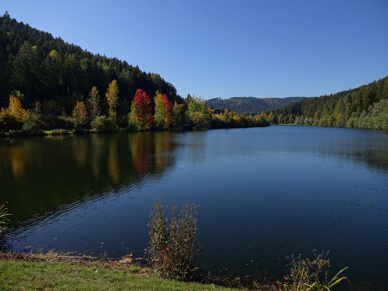 Nagoldtalsperre Reservorio Lago De - Foto gratis en Pixabay - Pixabay