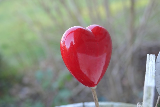 Cœur Amour Romance Coeur - Photo gratuite sur Pixabay - Pixabay