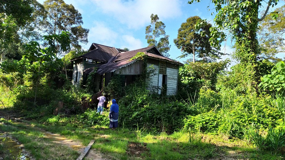 Hometown Forest Alam Semula Jadi - Free photo on Pixabay