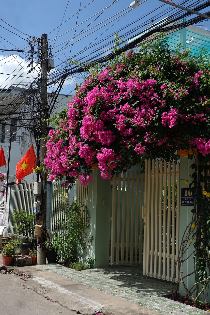 Flower Flag Free Photo On Pixabay Pixabay