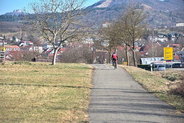 Fahrrad Radweg Landschaft - Kostenloses Foto auf Pixabay - Pixabay
