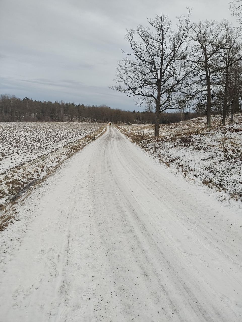 Winter Landscape Road Snow - Free photo on Pixabay - Pixabay