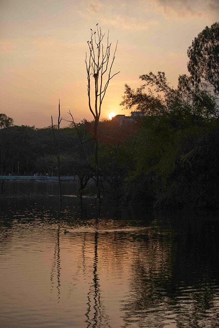Lake Sankey Tank Sunset - Free photo on Pixabay - Pixabay