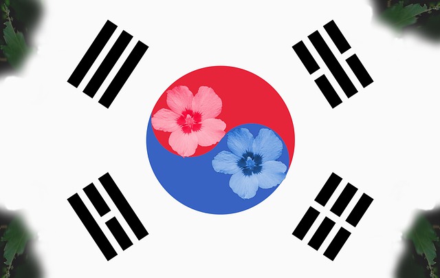 Korean Lippu Tasavalta - Ilmainen kuva Pixabayssa - Pixabay