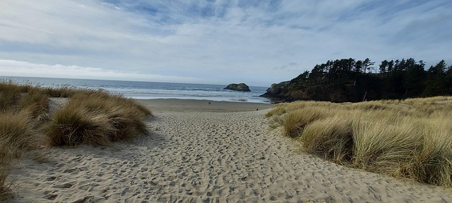 Ágyústrand Oregon Partja Strand - Ingyenes fotó a Pixabay-en - Pixabay
