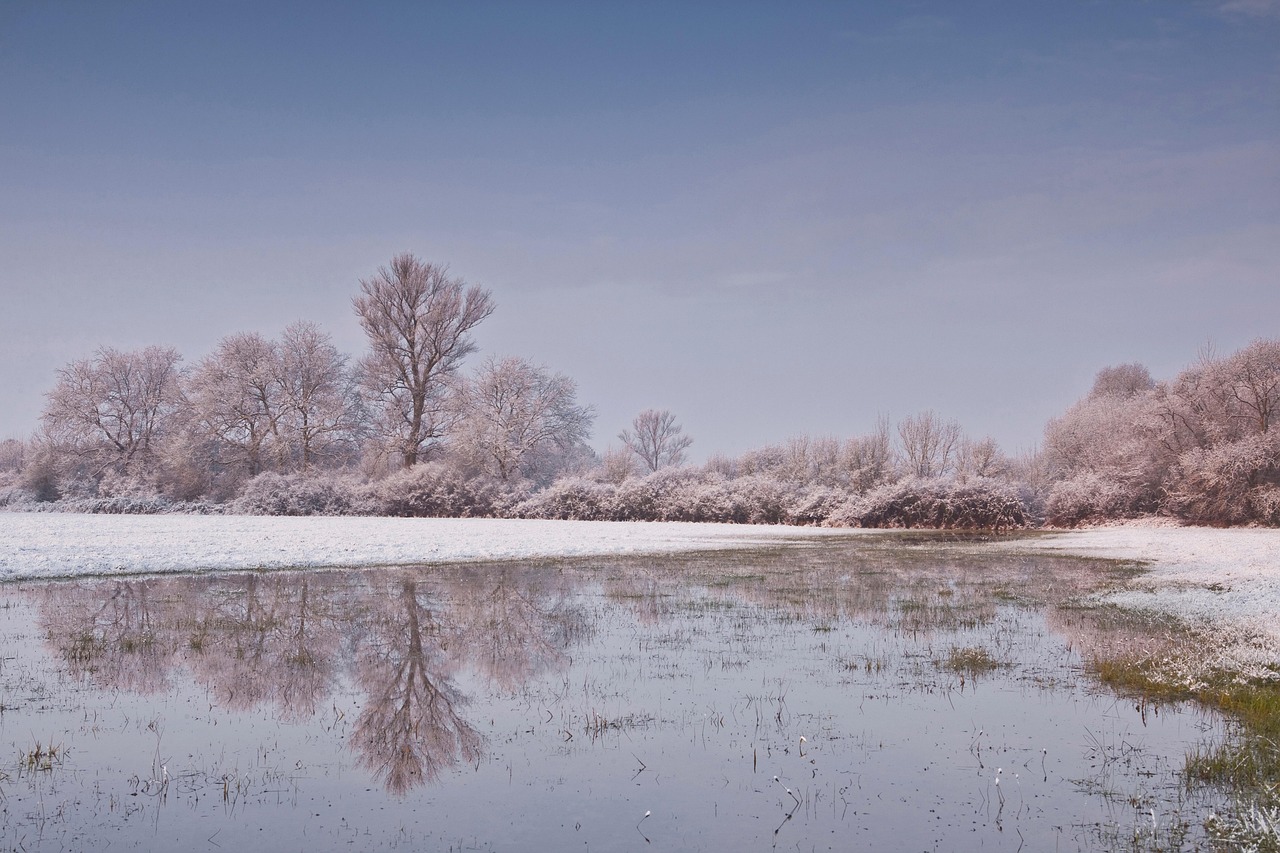Lac Hiver Forêt - Photo gratuite sur Pixabay - Pixabay