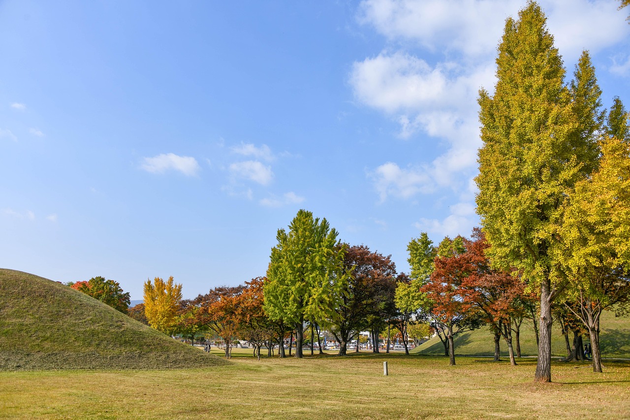 Nature Park Trees - Free photo on Pixabay - Pixabay