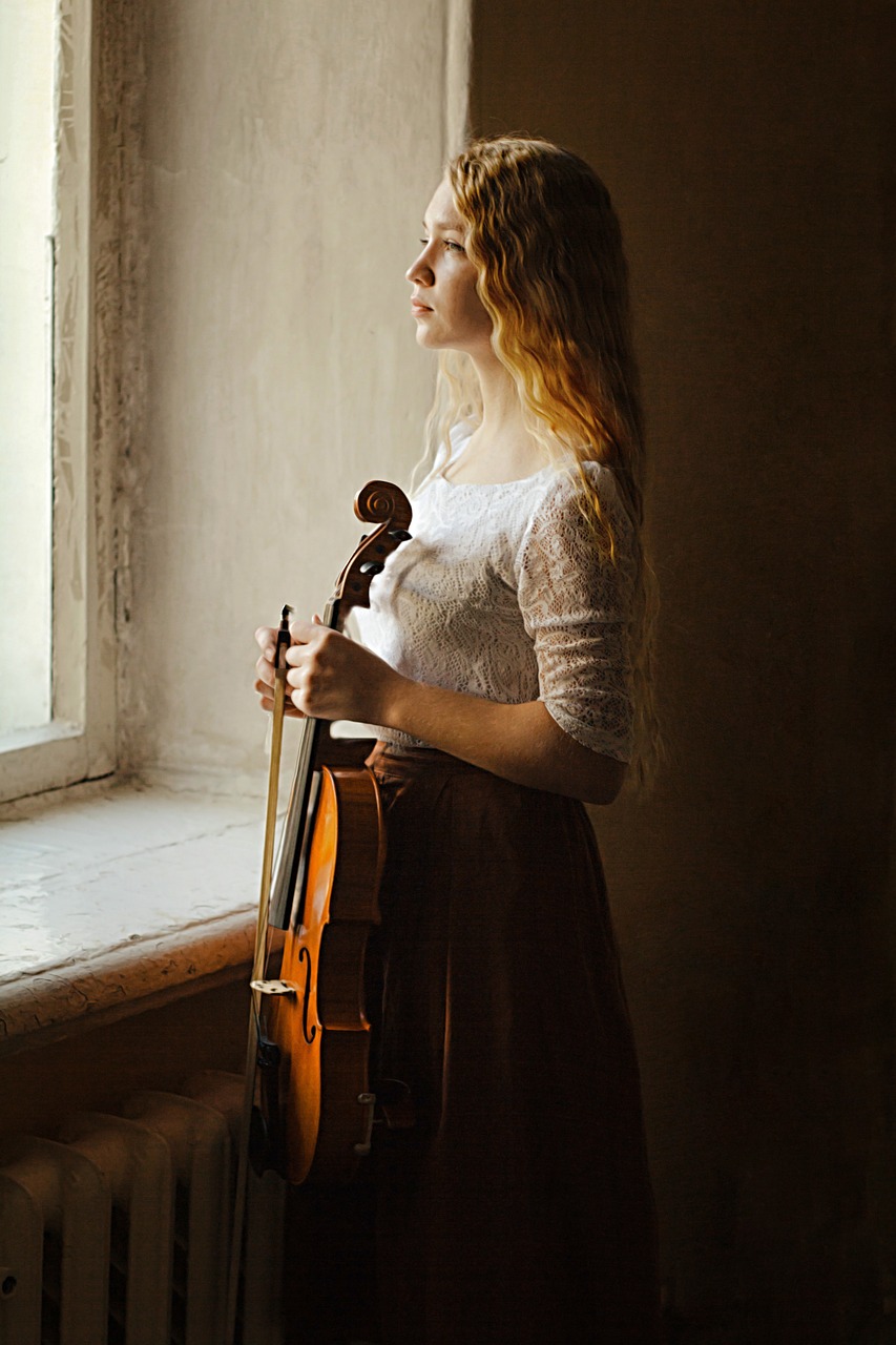 500+ kostenlose Geige und Violine-Bilder - Pixabay
