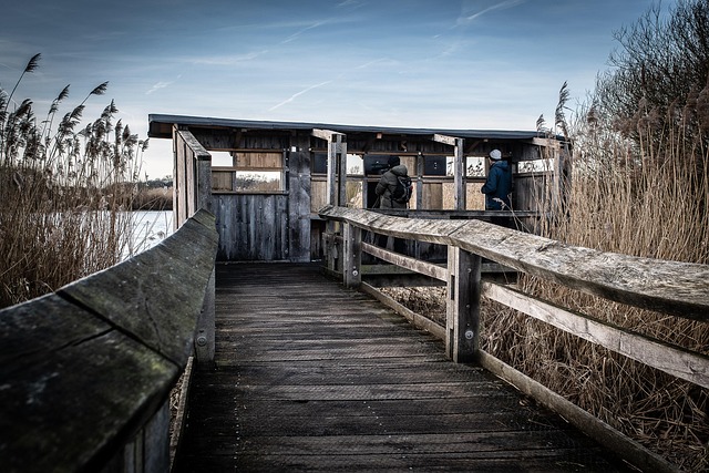 Bird Sanctuary Nature Reserve - Free photo on Pixabay - Pixabay