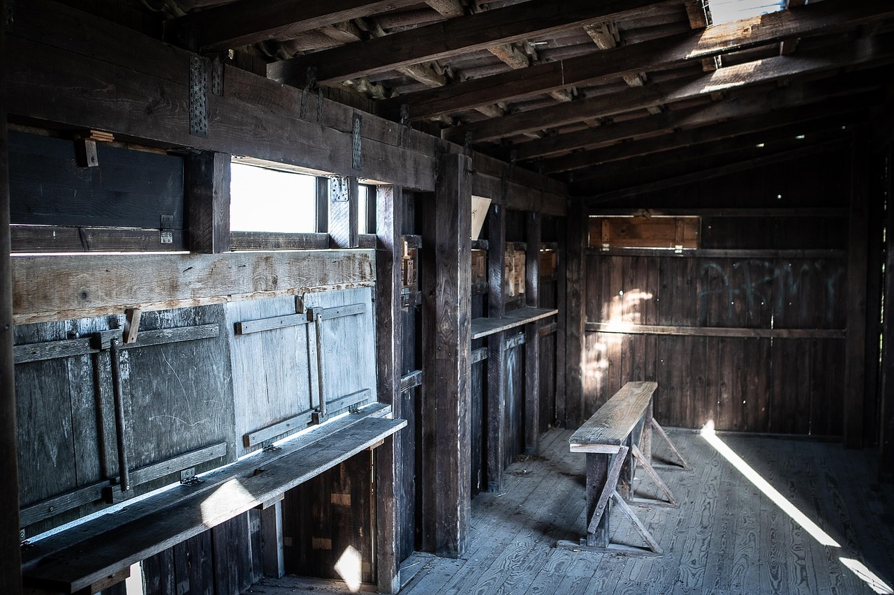 Observation Hut Conservation - Free photo on Pixabay