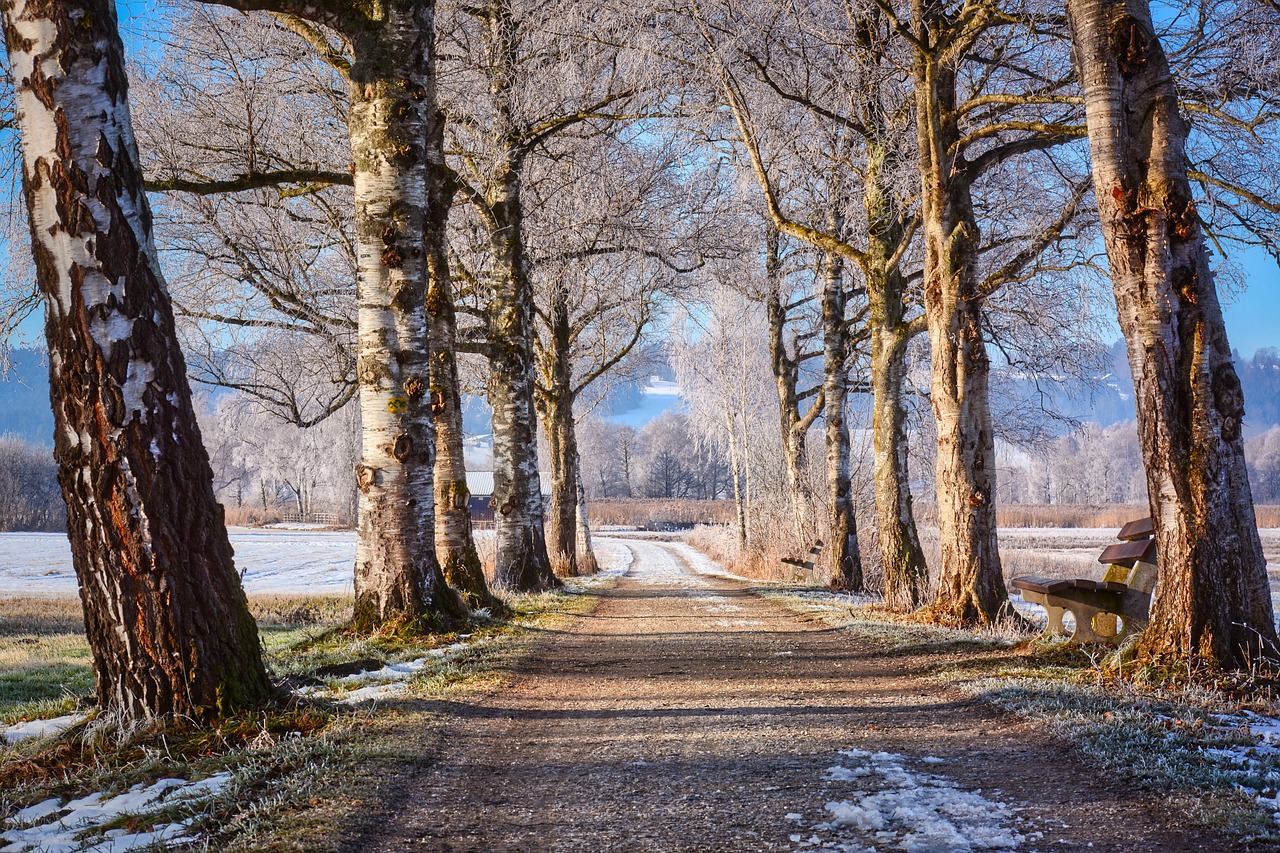 Country Road Snow Winter