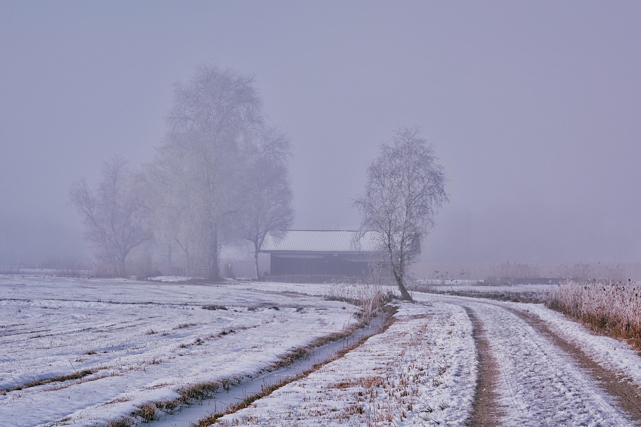 200+ Free Winter Barn & Barn Images - Pixabay