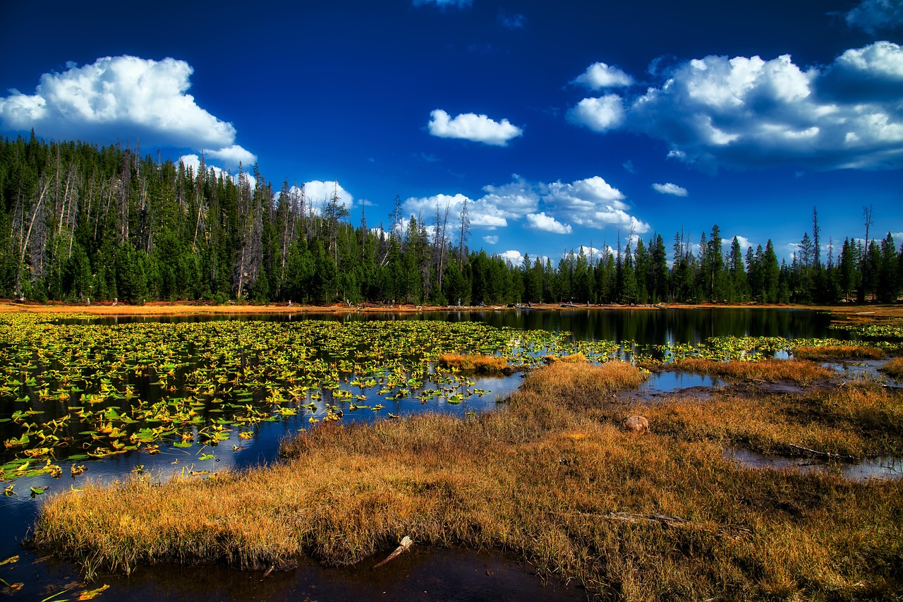 20,000+ Free High-Altitude & Nature Images - Pixabay