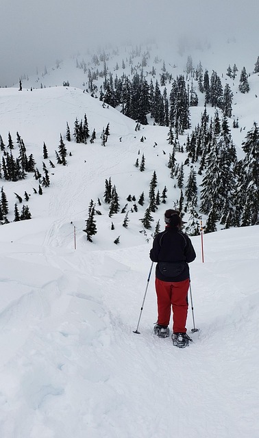 Winter Snowshoeing Outdoors - Free photo on Pixabay