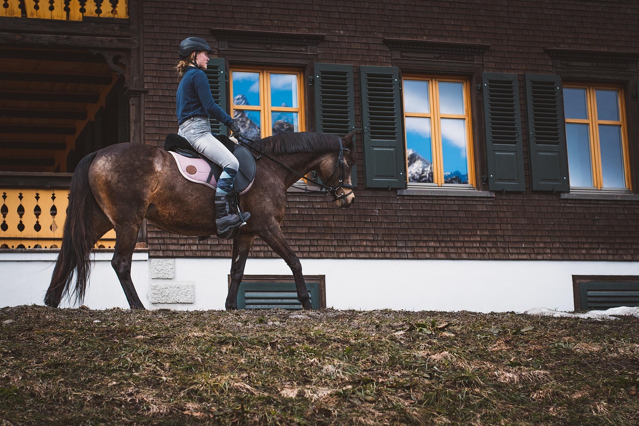 Free Downloadable Horse Images & Pictures in HD Quality | 20,000 ...
