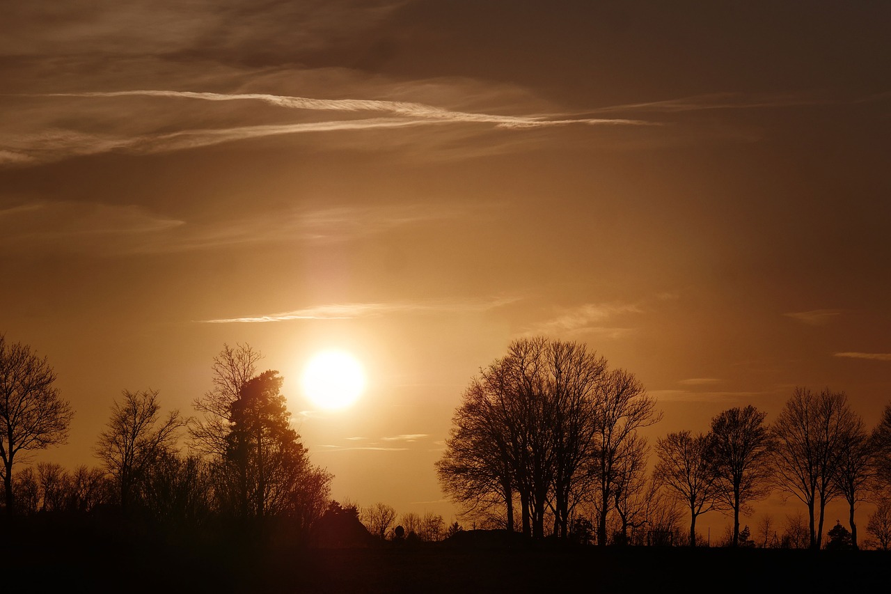 Trees Sunset Evening Atmosphere - Free photo on Pixabay - Pixabay