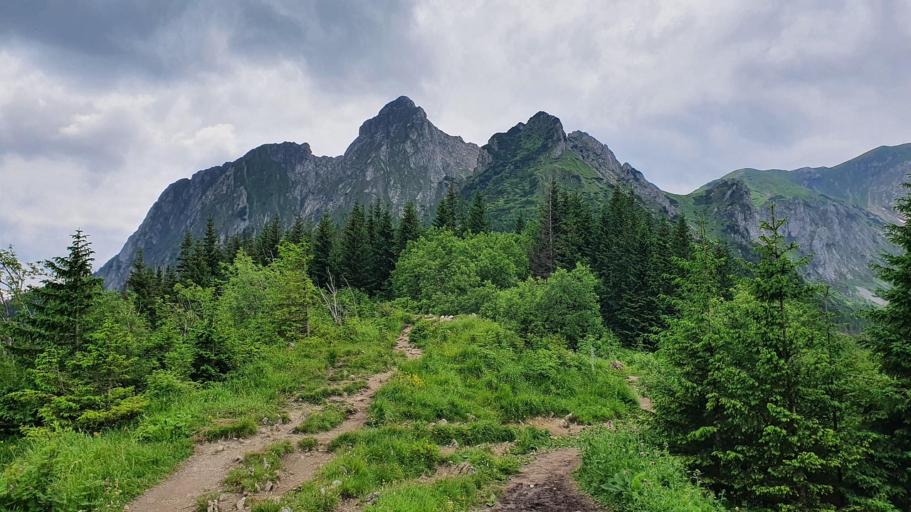 40+ darmowych obrazów z kategorii Giewont i Tatry - Pixabay