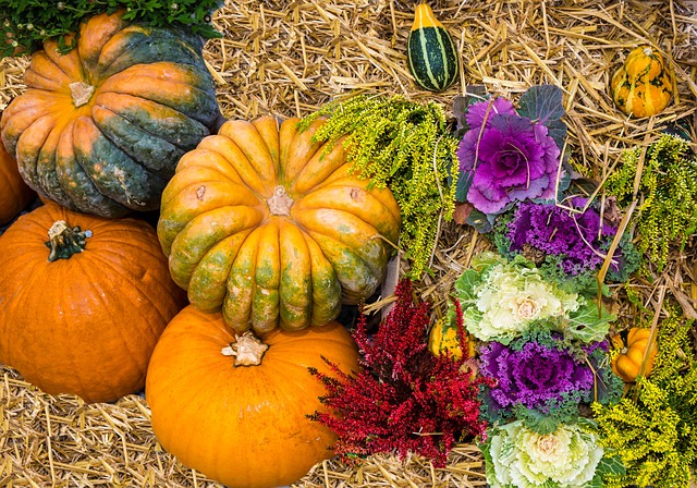 Citrouilles Des Légumes Aliments - Photo gratuite sur Pixabay - Pixabay