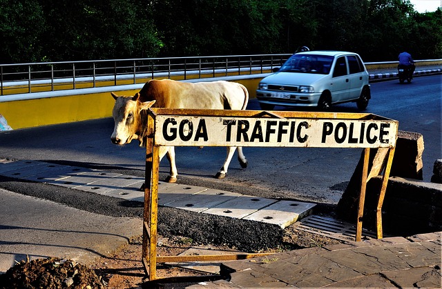 Goa India Asia - Free photo on Pixabay - Pixabay