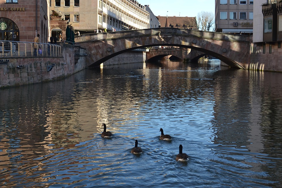 Ducks River Bridge - Free photo on Pixabay - Pixabay