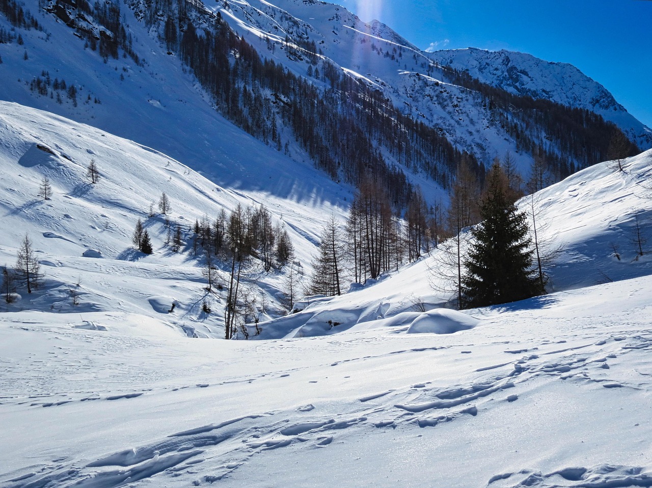 Natureza Inverno Temporada - Foto gratuita no Pixabay - Pixabay