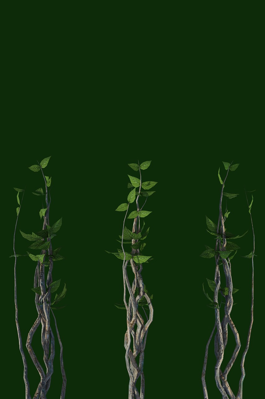 Vines Leaves Plants - Free photo on Pixabay