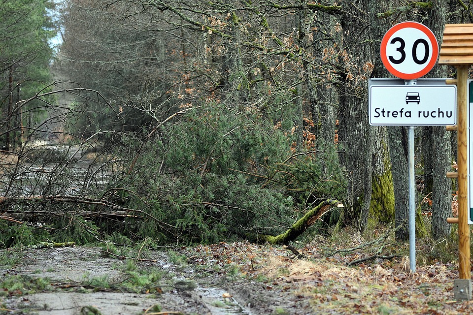 Blockage Forest Roadblock - Free photo on Pixabay