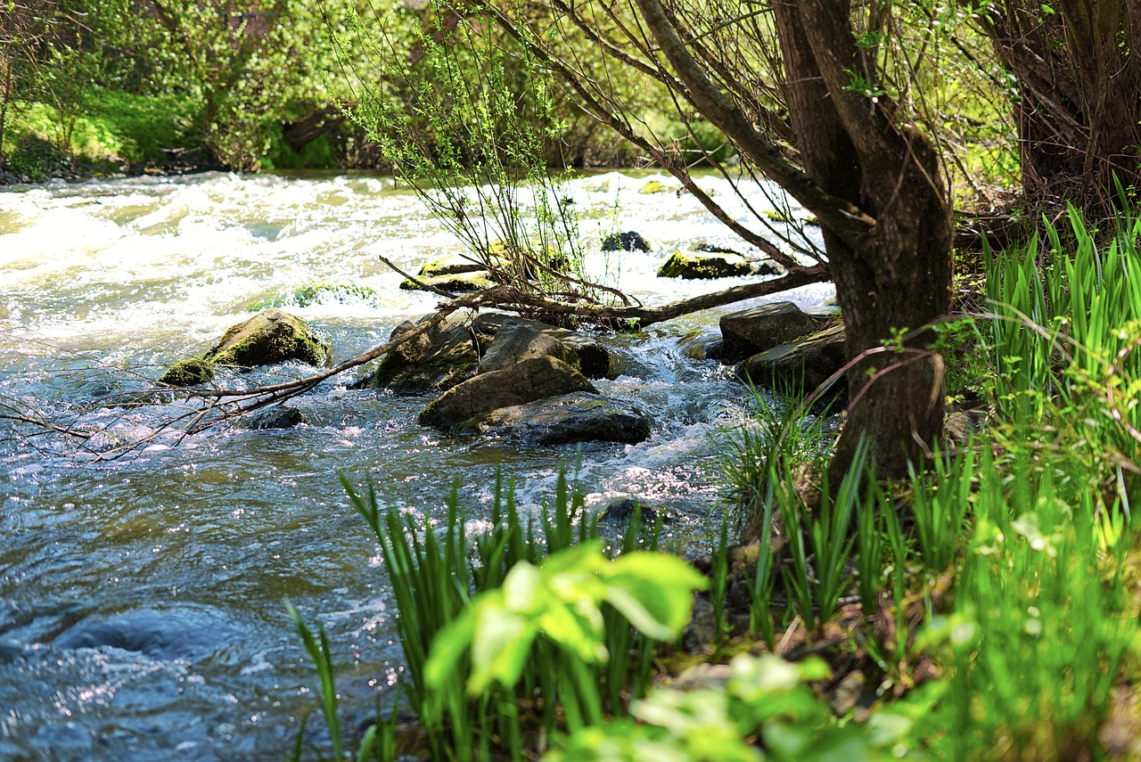 Fleuve Couler Nature En Plein - Photo gratuite sur Pixabay - Pixabay