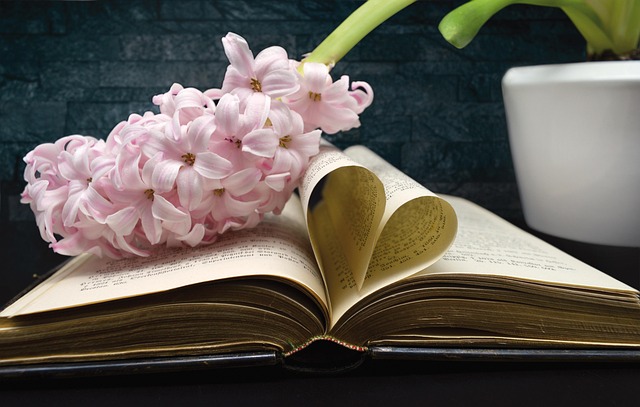 Hyacinth Flower Heart Book - Free photo on Pixabay