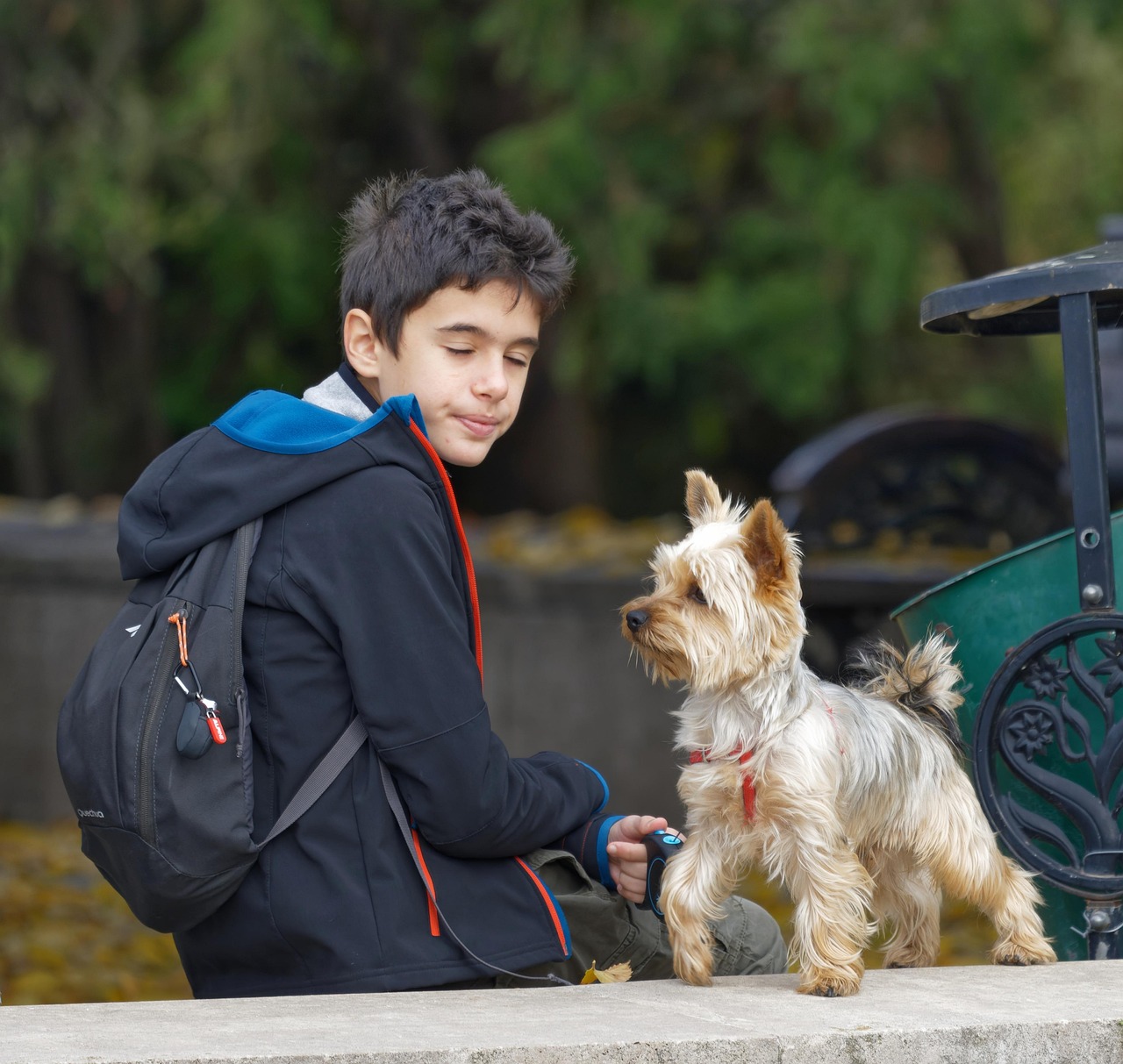 20,000+ Free Boy With Dog & Dog Images - Pixabay