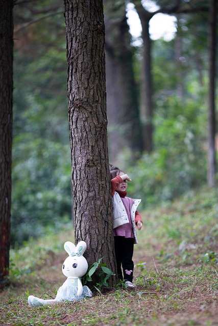 Little Girl Hide And Seek Forest - Free photo on Pixabay
