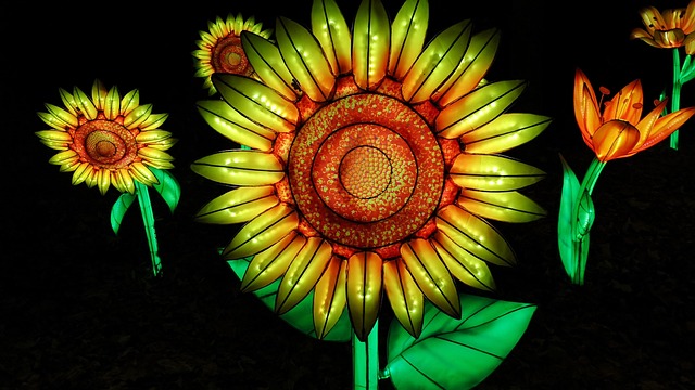 Bunga Matahari Penerangan Lampu - Foto gratis di Pixabay - Pixabay