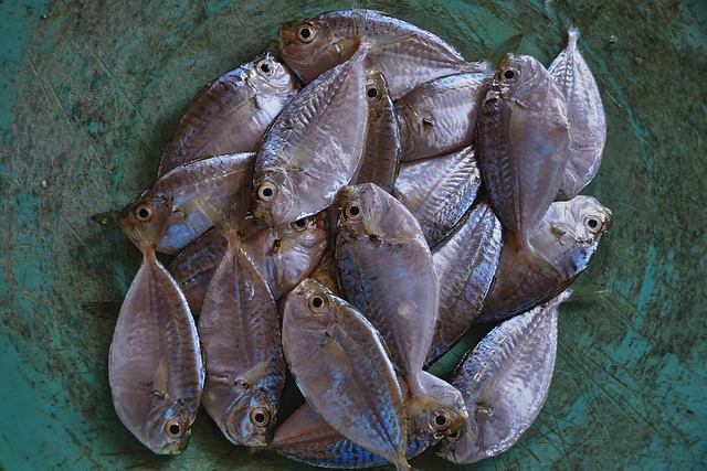 Fish Marine Market - Free photo on Pixabay - Pixabay