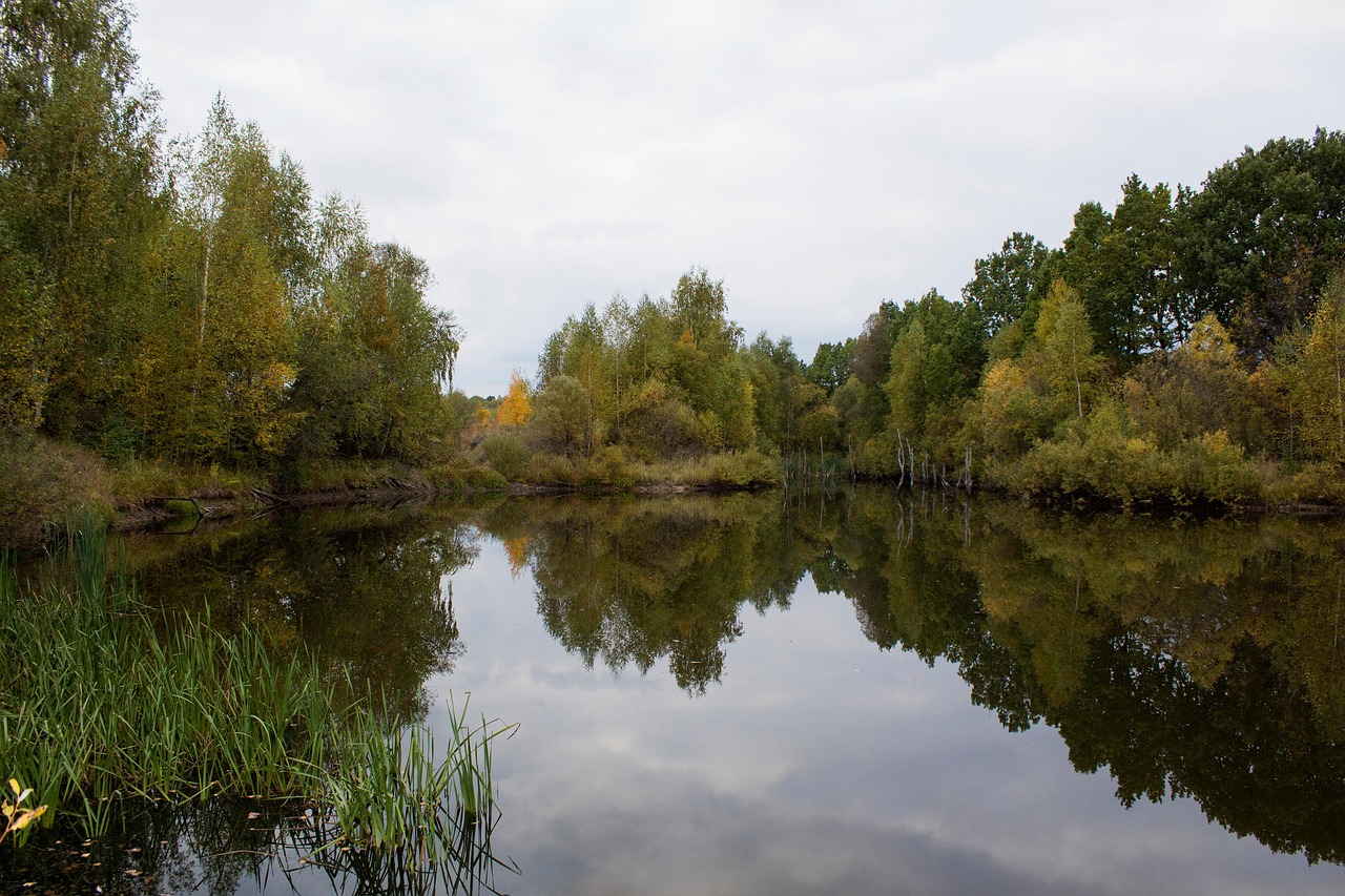 Étang Nature En Plein Air Région - Photo gratuite sur Pixabay - Pixabay