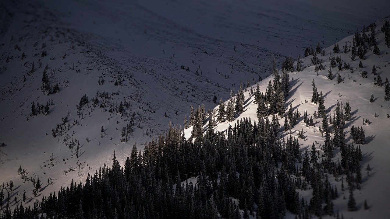100+ Free Avalanches & Nature Images - Pixabay