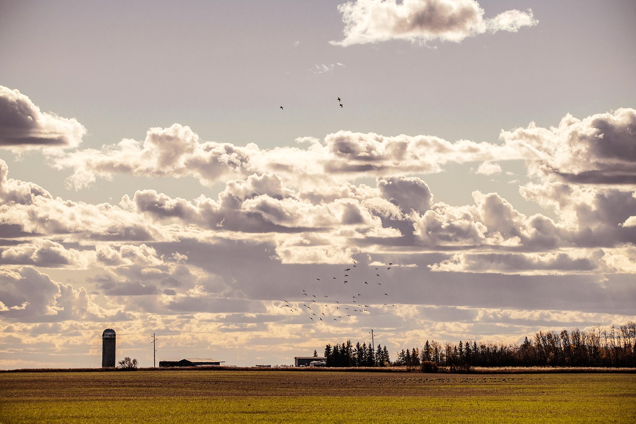 Farm Field Rural - Free photo on Pixabay