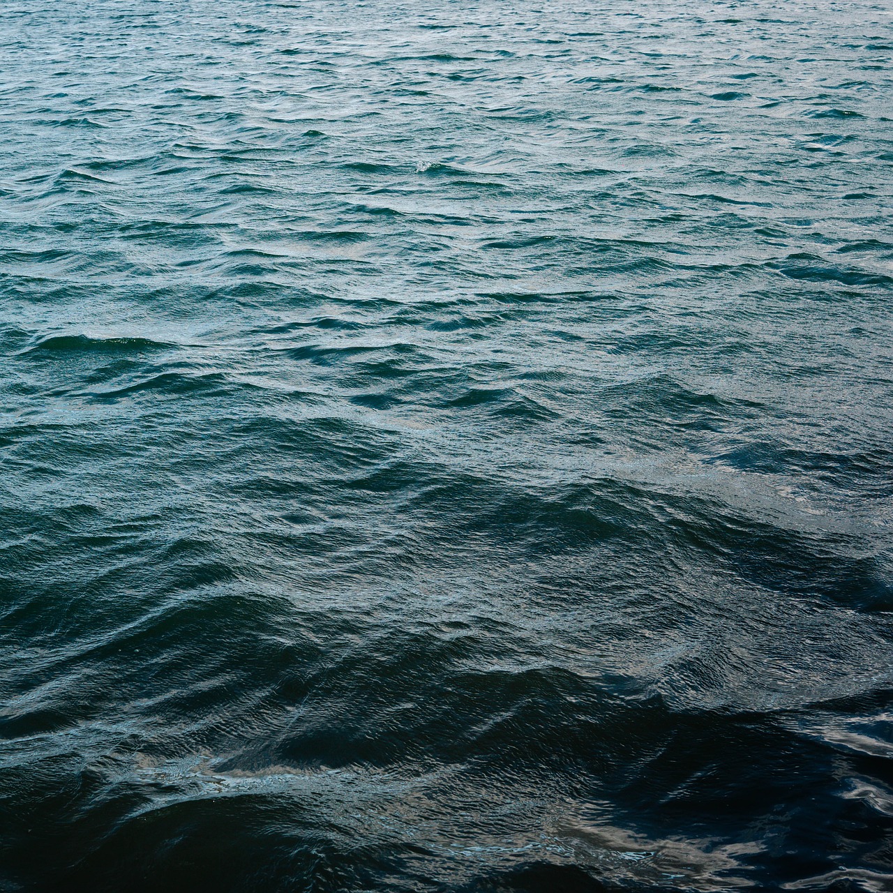 Meer Ozean Wellen - Kostenloses Foto auf Pixabay - Pixabay