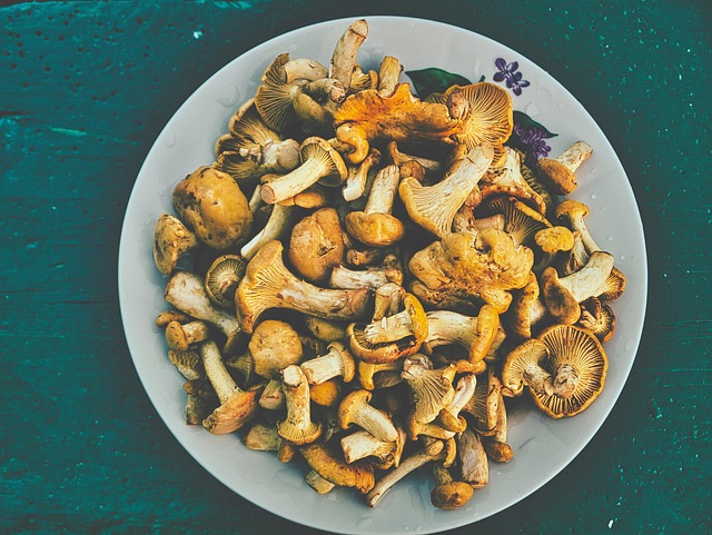 Champignons Assiette - Photo gratuite sur Pixabay - Pixabay